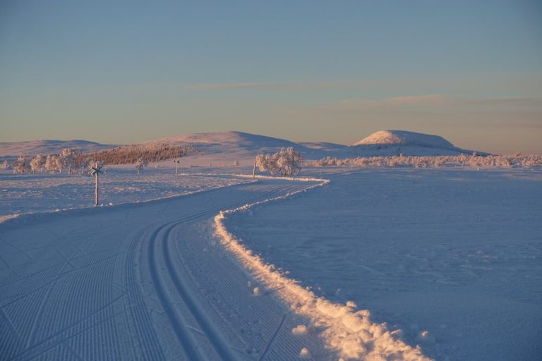 Lofsdalen- Den kompletta guiden för att planera din fjällsemester