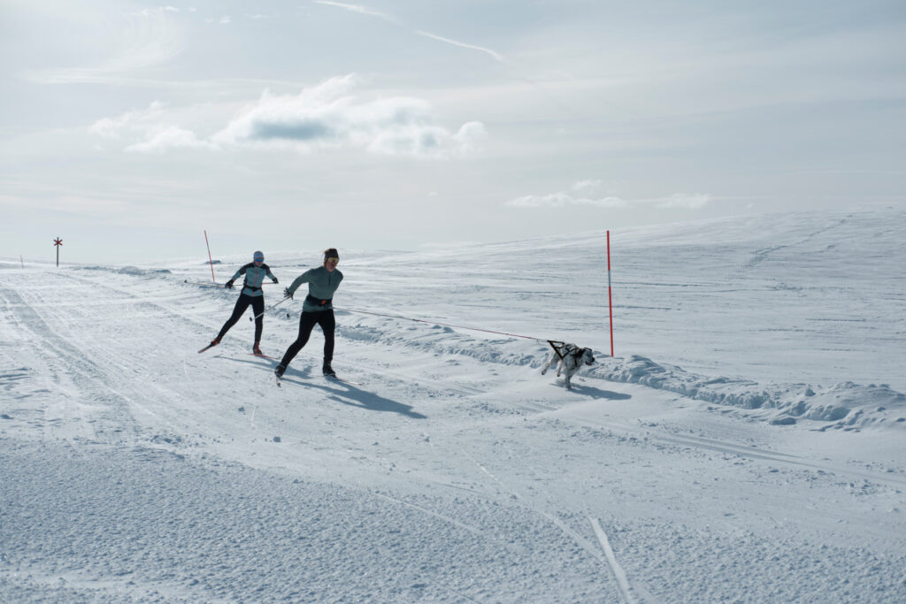 Ramundberget - Visit Fjällen